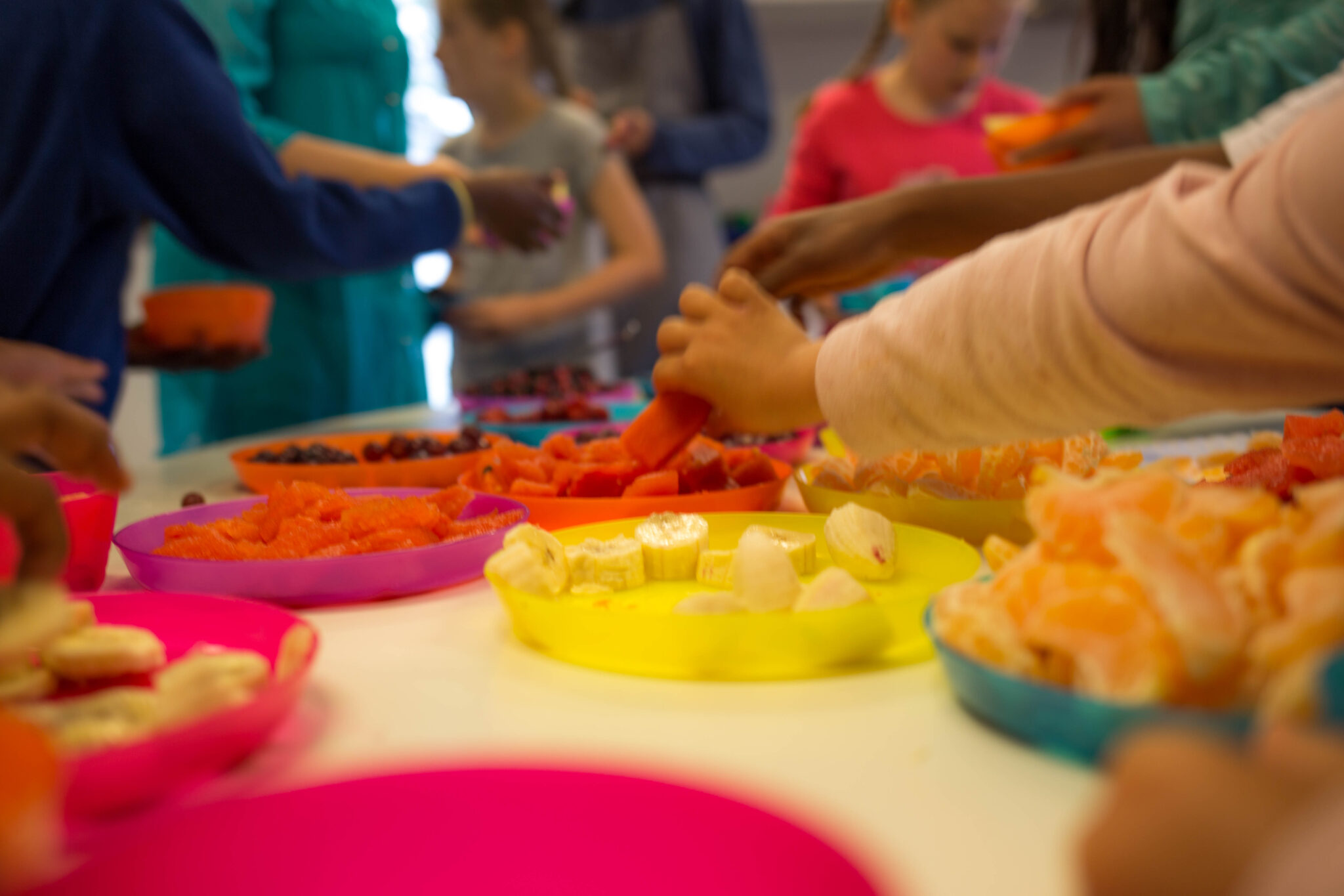 MAT AV REGNBUEN - Matjungelen